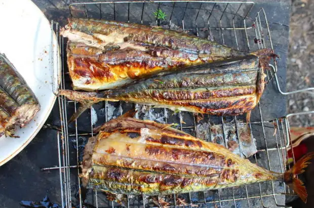 Cad atá le cócaireacht sa nádúr: 5 oidis álainn le haghaidh picnic