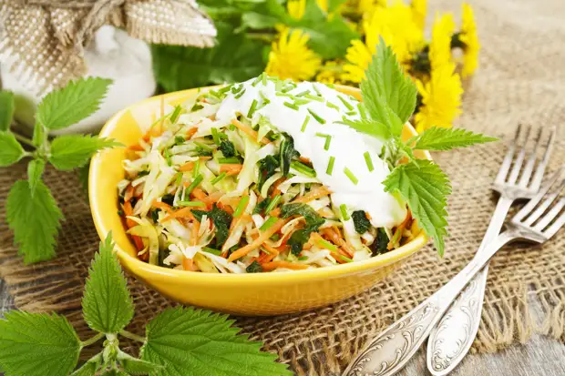 Salade d'ortie et de légumes