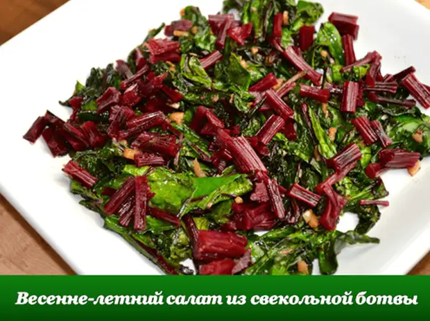 Beet. Batsirwa uye kukuvadza kune hutano. Medical Recipes