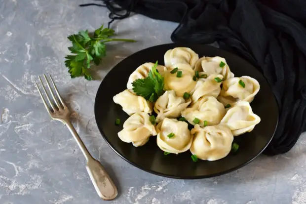 Kuva dumplings resepti kananrinnan kanssa