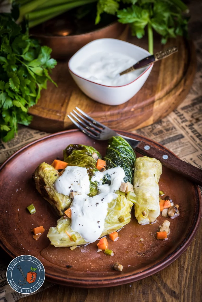 Kohls aus Savoykohl (Kaldolma) von Odessa mit Karotten, Kochen, Essen, Rezept, Fotografie, lang, Kohl