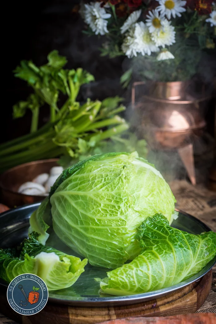 Faketten fan Savoy-kool (Kaldolma) fan Odessa mei wortelen, koken, iten, resept, fotografy, lange, kool