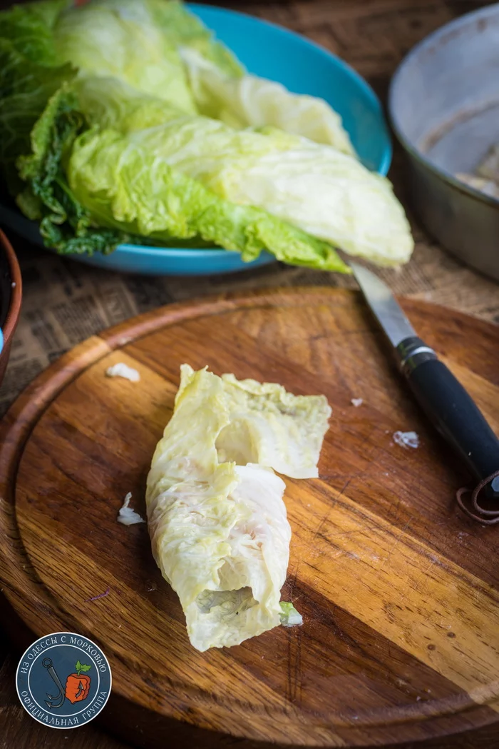 Kohls aus Savoykohl (Kaldolma) von Odessa mit Karotten, Kochen, Essen, Rezept, Fotografie, lang, Kohl