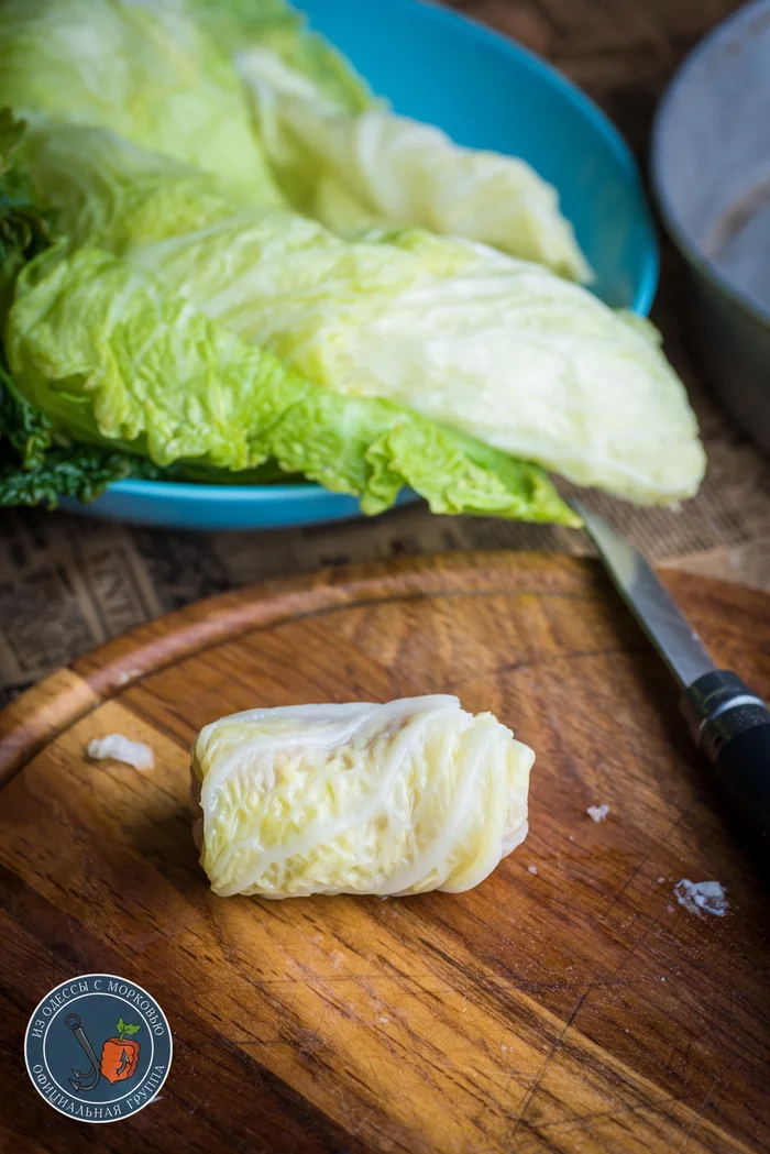 Kohls aus Savoykohl (Kaldolma) von Odessa mit Karotten, Kochen, Essen, Rezept, Fotografie, lang, Kohl