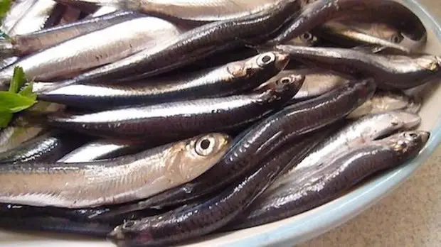 غذاهای جالب با Anchovies