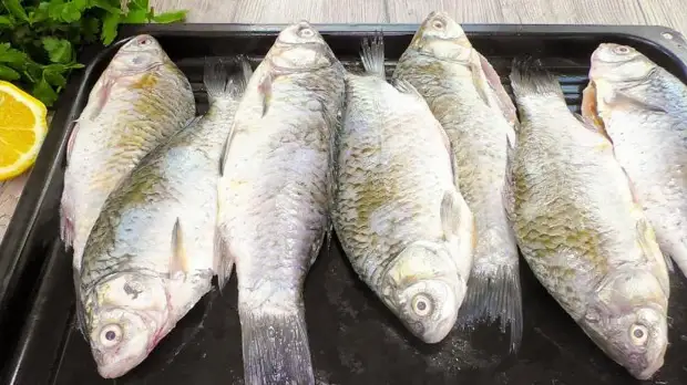 Fry Caras na savetu ribara. Čisti i biraju kosti više nisu potrebne, oni štede