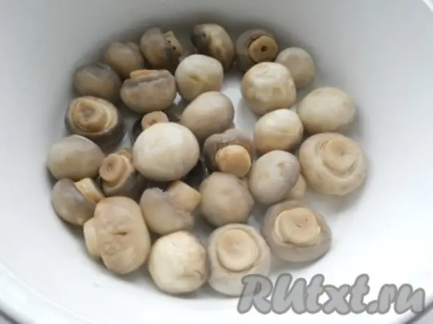 Fai bollire funghi per 5-7 minuti. Acqua si unisce.