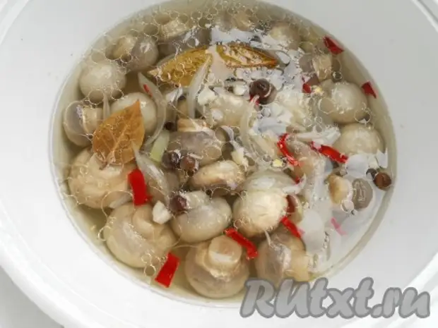 Ihalo nang mabuti at ibuhos ang mga mushroom na ito sa marinade.