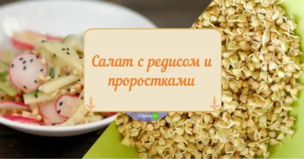 Bu salatlar qış ümidsizliyindən sonra sizi həyata qaytaracaq! Vitaminlər, addım-addım, reseptlər, salatlar