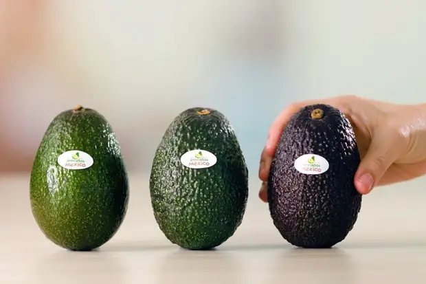 Past avocado: coginio cynnil a ryseitiau