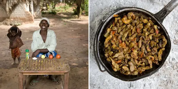 Litloholo tsa nkhono li tšoara joang linaheng tse fapaneng tsa lefatše