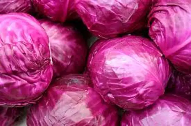 Red Cabbage - คลังเก็บของวิตามิน!